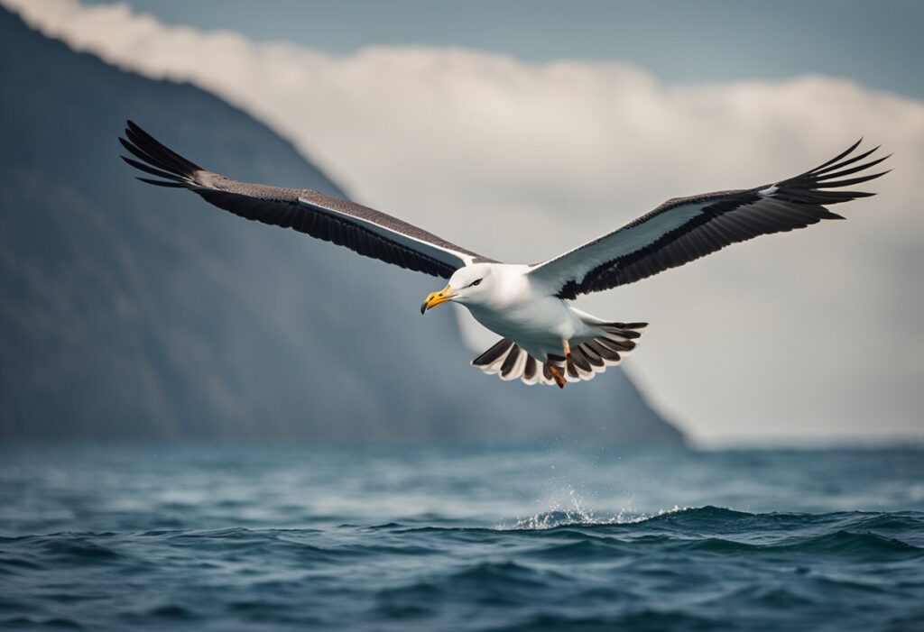 Which Bird Lives the Longest- Birds Species longevity